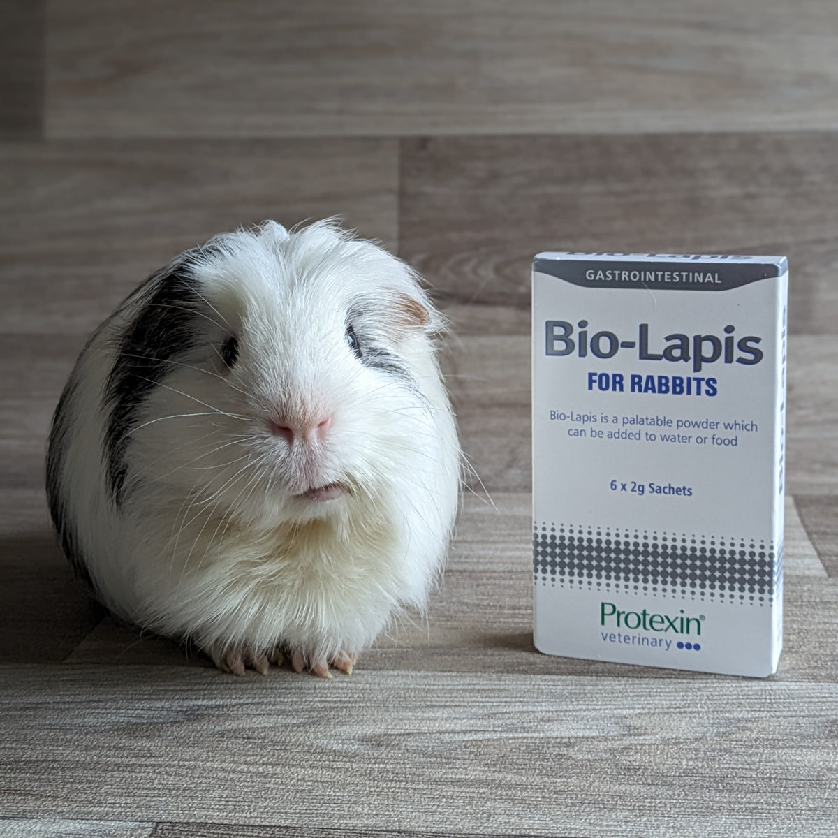 Protexin Bio Lapis Digestive Support Recovery Sachets – Everything ...