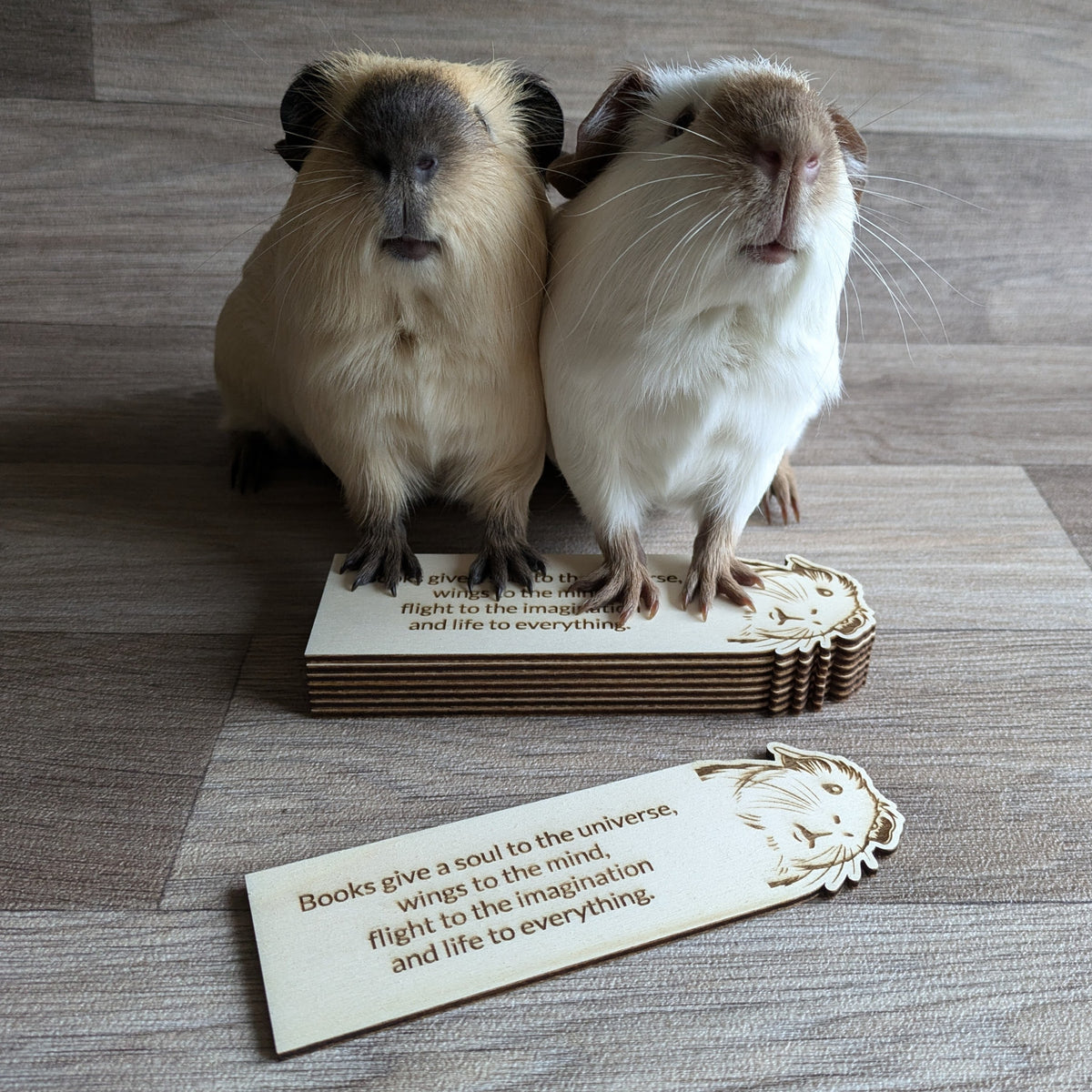 Guinea Pig Bookmark – Everything Guinea Pig